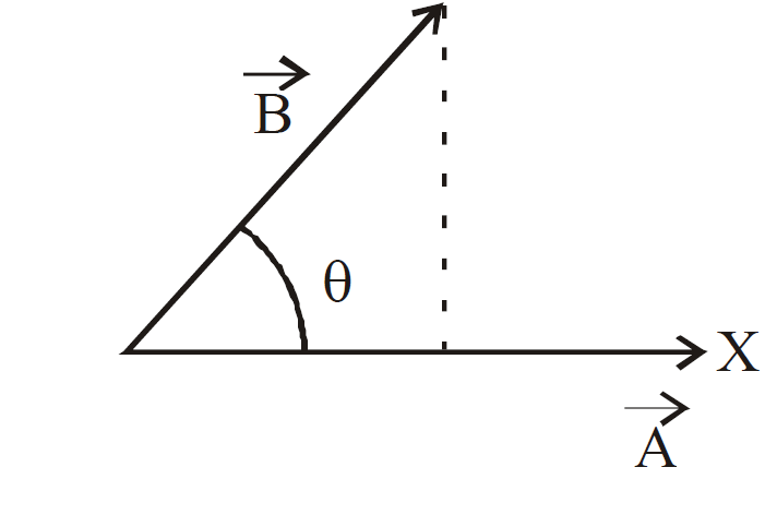 Scalars and Vectors Notes