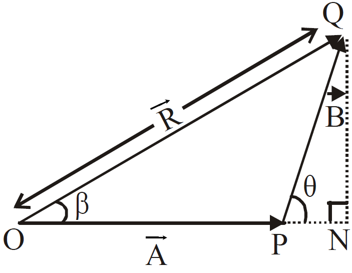 Scalars and Vectors Notes