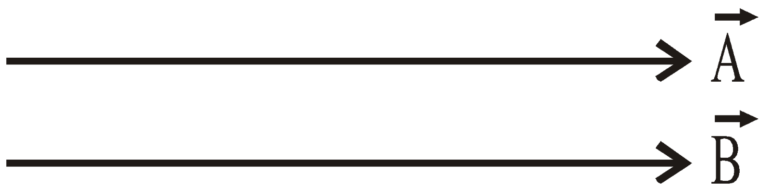Scalars and Vectors Notes