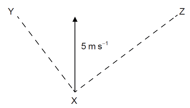 IB DP Physics Unit 1. Measurements and uncertainties Paper 1