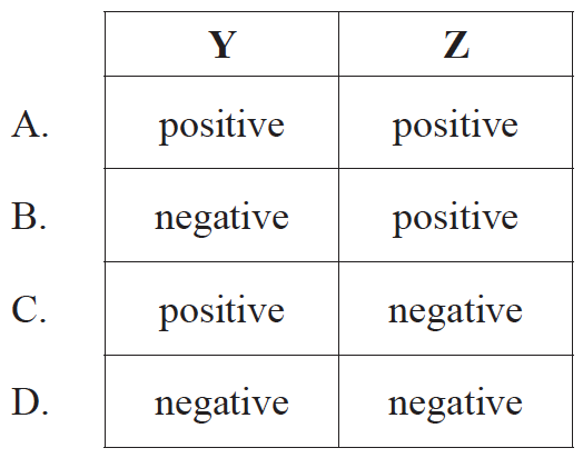 D.2 Electric and magnetic fields SL Paper 1- IBDP Physics 2025- Exam ...