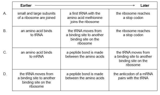 IB DP Biology Topic 2: Molecular biology 2.7 DNA replication ...