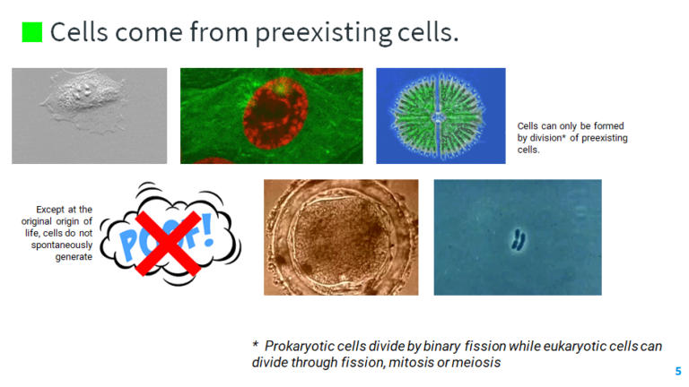 IB DP Biology Topic 1: Cell biology 1.1 Introduction to cells Study Notes