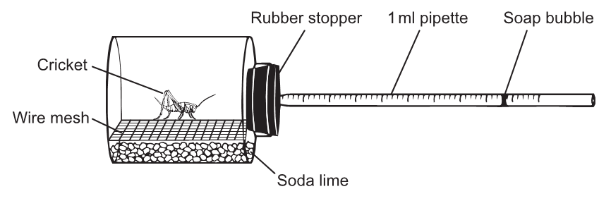 IB DP Biology Topic 2: Molecular biology 2.8 Cell respiration Question ...