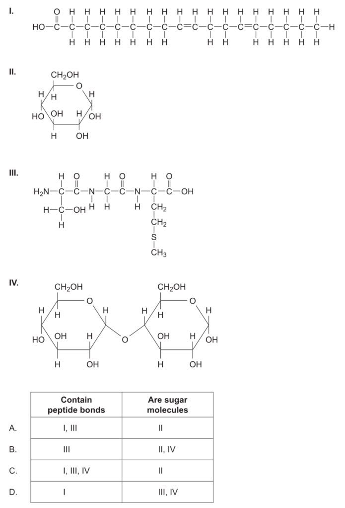 IB DP Biology Topic 2: Molecular biology 2.3 Carbohydrates and lipids ...