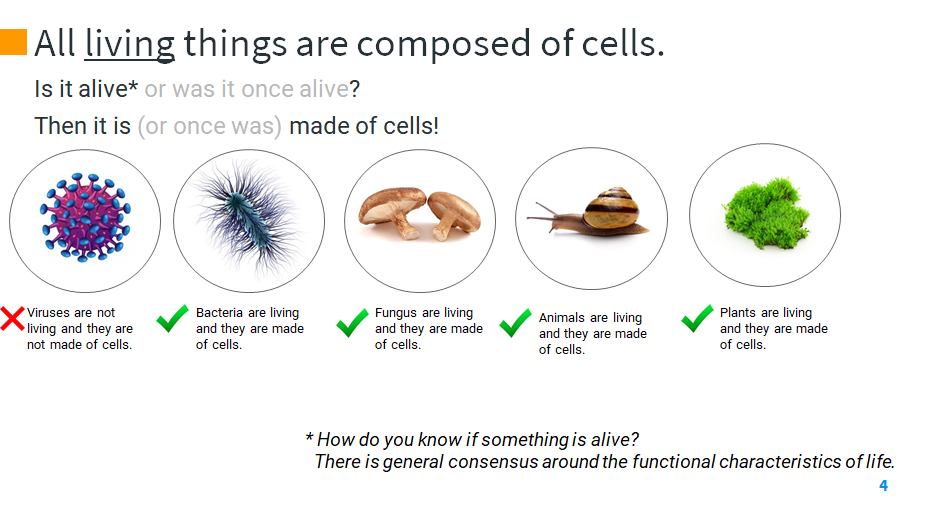 IB DP Biology Topic 1: Cell biology 1.1 Introduction to cells Study Notes