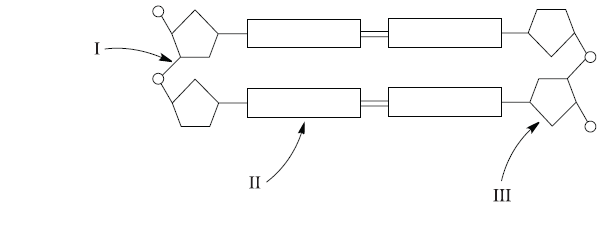 IB DP Biology Topic 2: Molecular biology 2.6 Structure of DNA and RNA ...