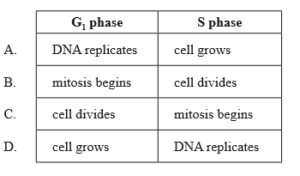 IB DP Biology 1.6 Cell division Question Bank SL Paper 1
