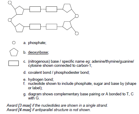 IB DP Biology Topic 5: Evolution and biodiversity : 5.2 Natural ...