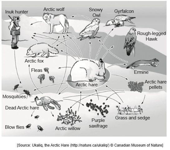 IB DP Biology Topic 4: Ecology : 4.1 Species, communities and ...