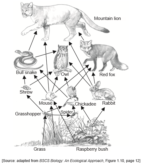 IB DP Biology Topic 4: Ecology : 4.1 Species, communities and ...