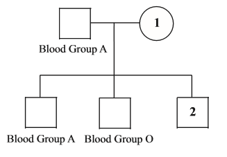 IB DP Biology Topic 3: 3.4 Inheritance Question Bank HL Paper 1