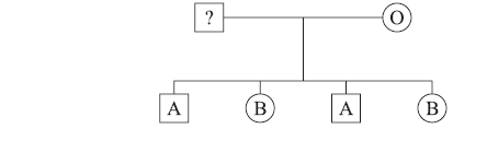 IB DP Biology Topic 3: 3.4 Inheritance Question Bank SL Paper 1