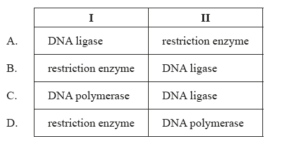 IB DP Biology D1.3 Mutations and gene editing-FA 2025- IB Style ...