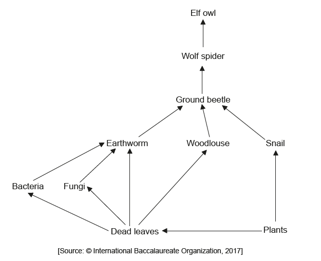 IB DP Biology Topic 4: Ecology : 4.1 Species, communities and ...