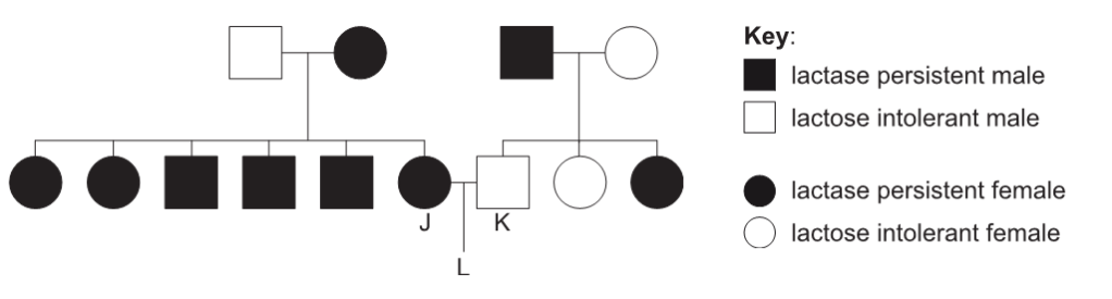 IB DP Biology Topic 3: 3.4 Inheritance Question Bank HL Paper 1