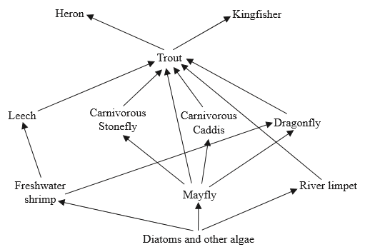 IB DP Biology Topic 4: Ecology : 4.2 Energy flow Question Bank HL Paper 2