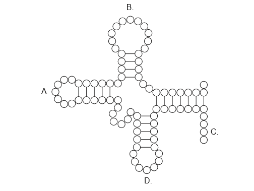IB DP Biology Topic 7: Nucleic acids :7.3 Translation Question Bank HL ...