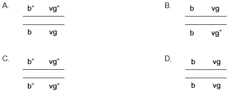 IB DP Biology Topic 10: Genetics and evolution :10.2 Inheritance HL Paper 1