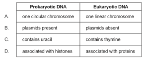 IB DP Biology Topic 7: Nucleic acids : 7.1 DNA structure and ...