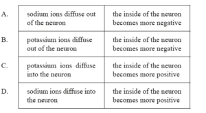 IB DP Biology Topic 6: Human physiology : 6.5 Neurons and synapses ...