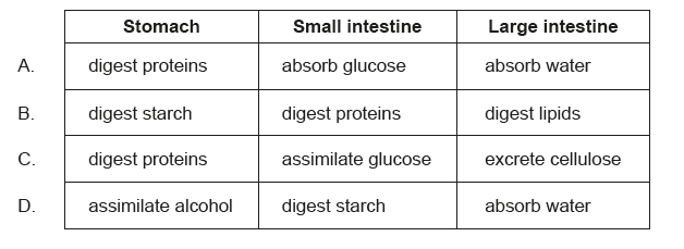IB DP Biology Topic 6: Human physiology : 6.1 Digestion and absorption ...