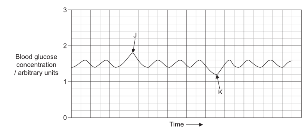 IB DP Biology Topic 6: Human physiology : 6.6 Hormones, homeostasis and ...