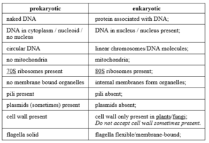 IB DP Biology Topic 7: Nucleic acids : 7.1 DNA structure and ...