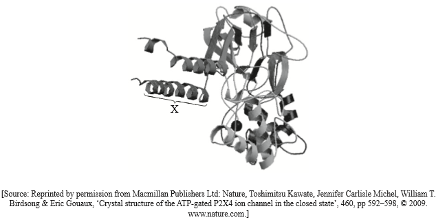 IB DP Biology Topic 7: Nucleic acids :7.3 Translation Question Bank HL ...