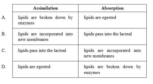IB DP Biology Topic 6: Human physiology : 6.1 Digestion and absorption ...
