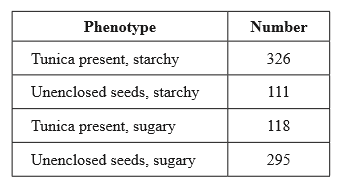 IB DP Biology Topic 10: Genetics and evolution :10.2 Inheritance HL Paper 2