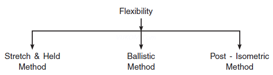 CBSE Class 12 Physical Education –Chapter 10 Training in Sports- Study ...