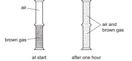 Igcse Biology 0610 3 1 Diffusion Igcse Style Questions Paper 1