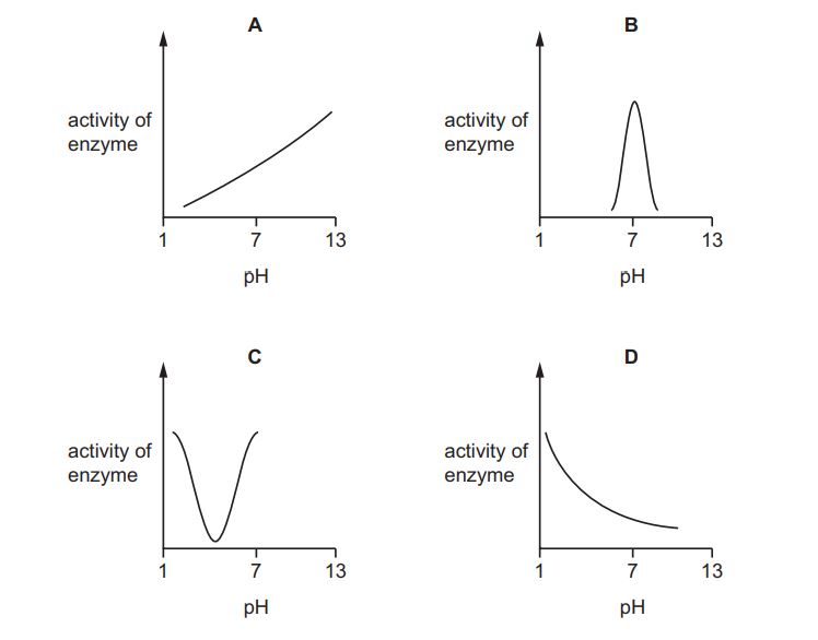 iGCSE Biology (0610)-5.1 Enzymes - iGCSE Style Questions Paper 1