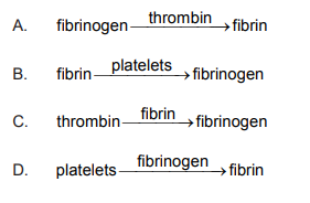 IB DP Biology Topic 6: Human physiology : 6.3 Defence against ...
