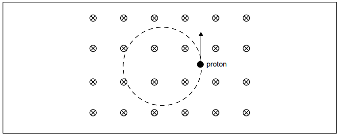 IBDP Physics 5.4 –Magnetic effects of electric currents: IB Style ...
