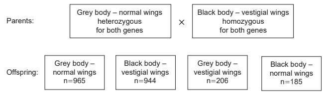 IB DP Biology Topic 10: Genetics and evolution :10.2 Inheritance HL Paper 2