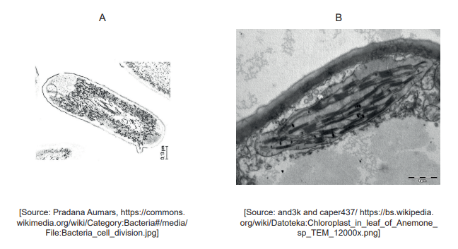 IB DP Biology Mock Exam SL Paper 1B Set 3