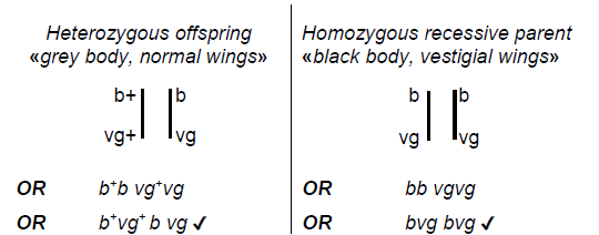 IB DP Biology Topic 3: 3.4 Inheritance Question Bank HL Paper 2