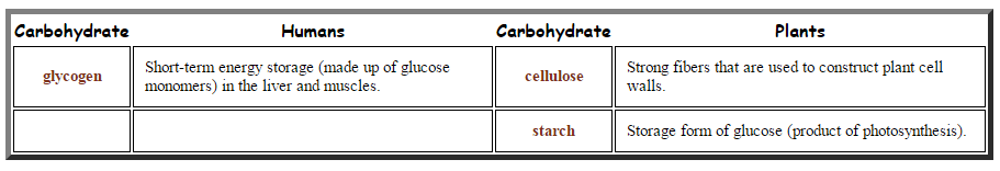 IB DP Biology Topic 2: Molecular biology 2.3 Carbohydrates and lipids ...