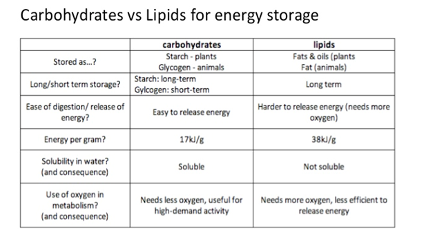 IB DP Biology Topic 2: Molecular biology 2.3 Carbohydrates and lipids ...