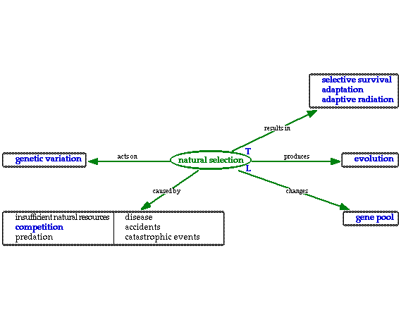 IB DP Biology Topic 5: 5.2 Natural selection: Study Notes
