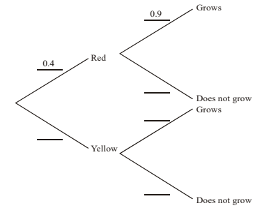 [MAI 4.8] PROBABILITY II (TREE DIAGRAMS)-neha-ready-done