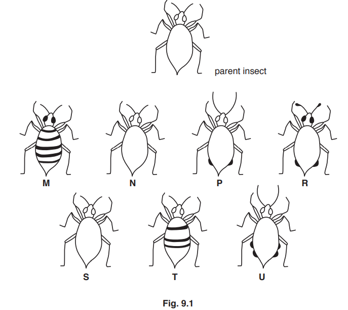 iGCSE Biology (0610)-18.1 Variation - iGCSE Style Questions Paper 3