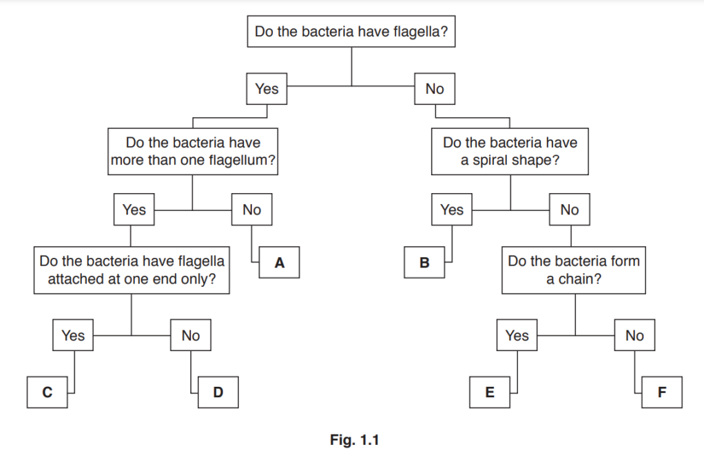 iGCSE Biology (0610) 1.2 Concept and uses of classification systems ...