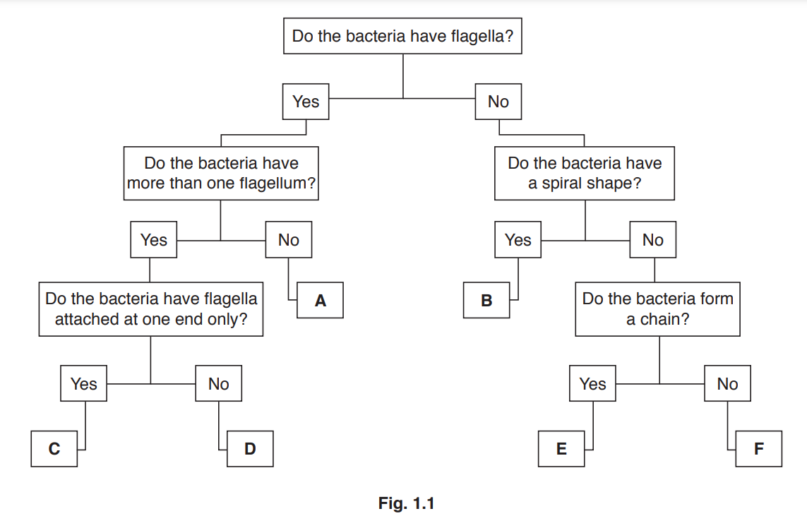 Igcse Biology 0610 1 2 Concept And Uses Of Classification Systems Igcse Style Questions Paper 4