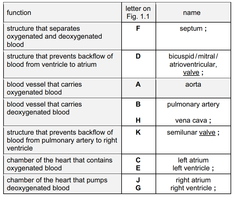 iGCSE Biology (0610)-9.2 Heart - iGCSE Style Questions Paper 4