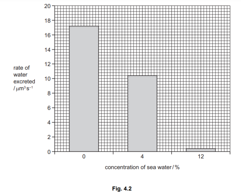 iGCSE Biology (0610) 3.1 Diffusion iGCSE Style Questions Paper 4
