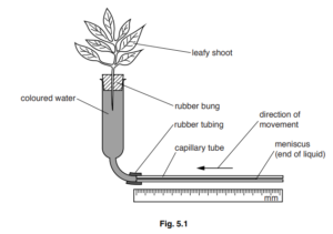 iGCSE Biology (0610)-8.3 Transpiration - iGCSE Style Questions Paper 3