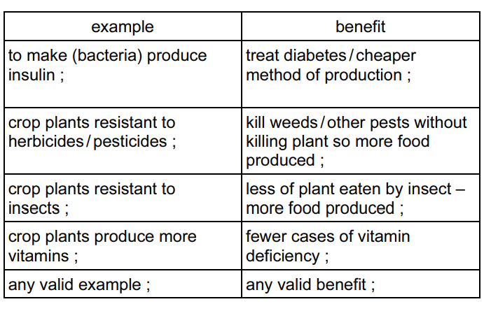 iGCSE Biology (0610)-21.1 Biotechnology and genetic modification- iGCSE ...